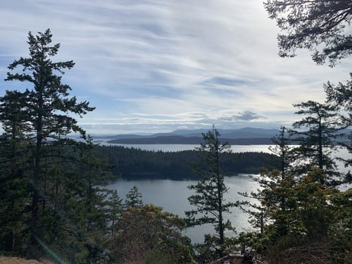 Best Hikes and Trails in Matthews Point Regional Park | AllTrails