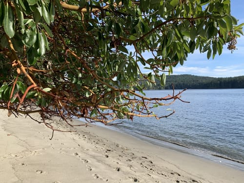 Best Hikes and Trails in Matthews Point Regional Park | AllTrails