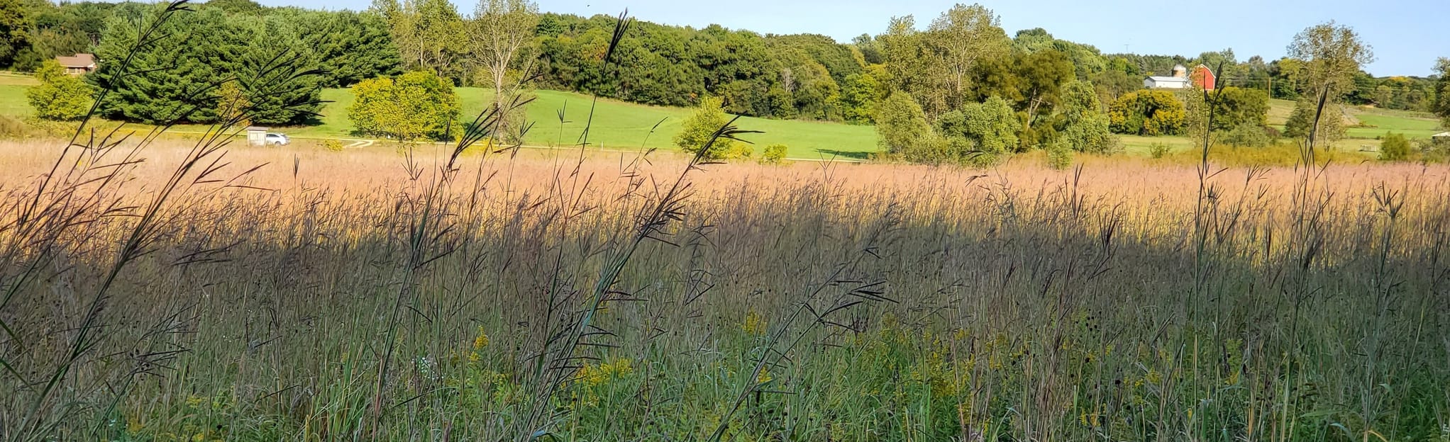 Kelly Creek Preserve Trail | Map, Guide - Wisconsin | AllTrails
