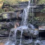 Ironbark Falls Track, New South Wales, Australia - 34 Reviews, Map ...