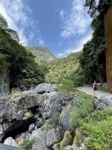 2023 Best trails in Fuyuan National Forest Recreation Area | AllTrails