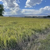 LOBO Trail: Longmont to Boulder Path, Colorado - 294 Reviews, Map ...