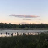 Knight's Pond Preserve , Maine - 236 Reviews, Map | AllTrails