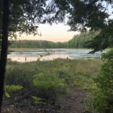 Knight's Pond Preserve , Maine - 236 Reviews, Map | AllTrails