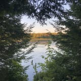 Knight's Pond Preserve , Maine - 236 Reviews, Map | AllTrails