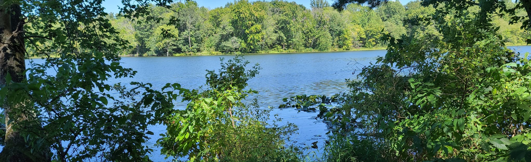 Lincoln State Park East Loop: 174 Reviews, Map - Indiana | AllTrails