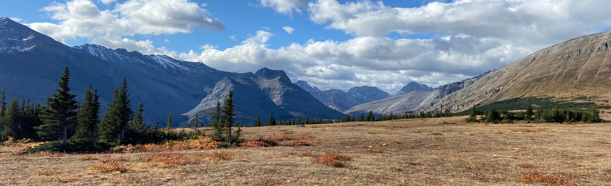 Cardinal Divide Trail: 40 Reviews, Map - Alberta, Canada | AllTrails