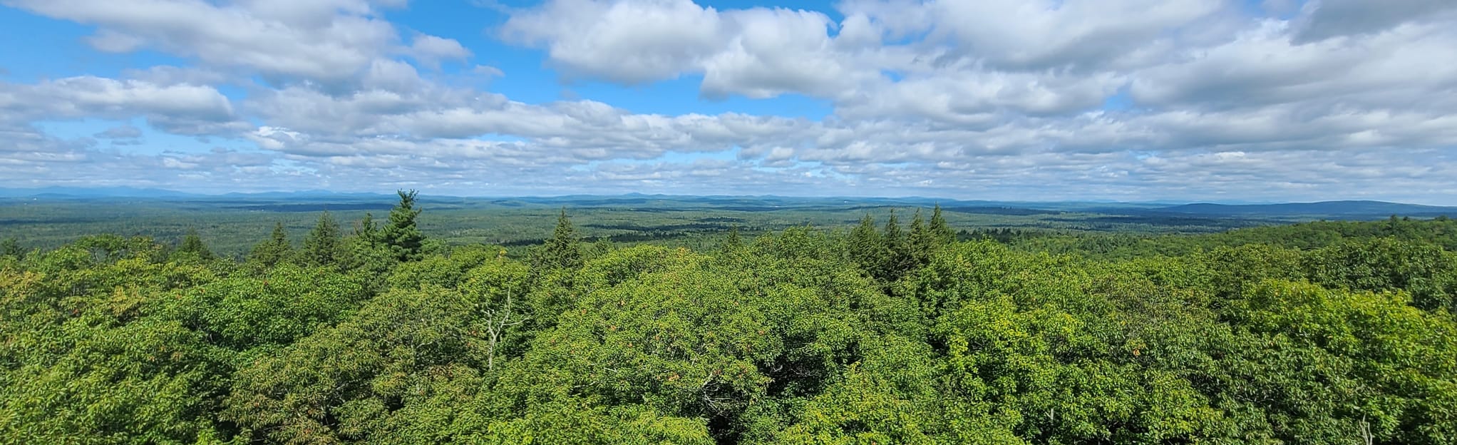 Chase Hill Fire Tower, Maine - 67 Reviews, Map | AllTrails