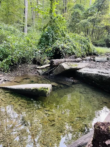 Best River Trails in Chagrin Falls | AllTrails
