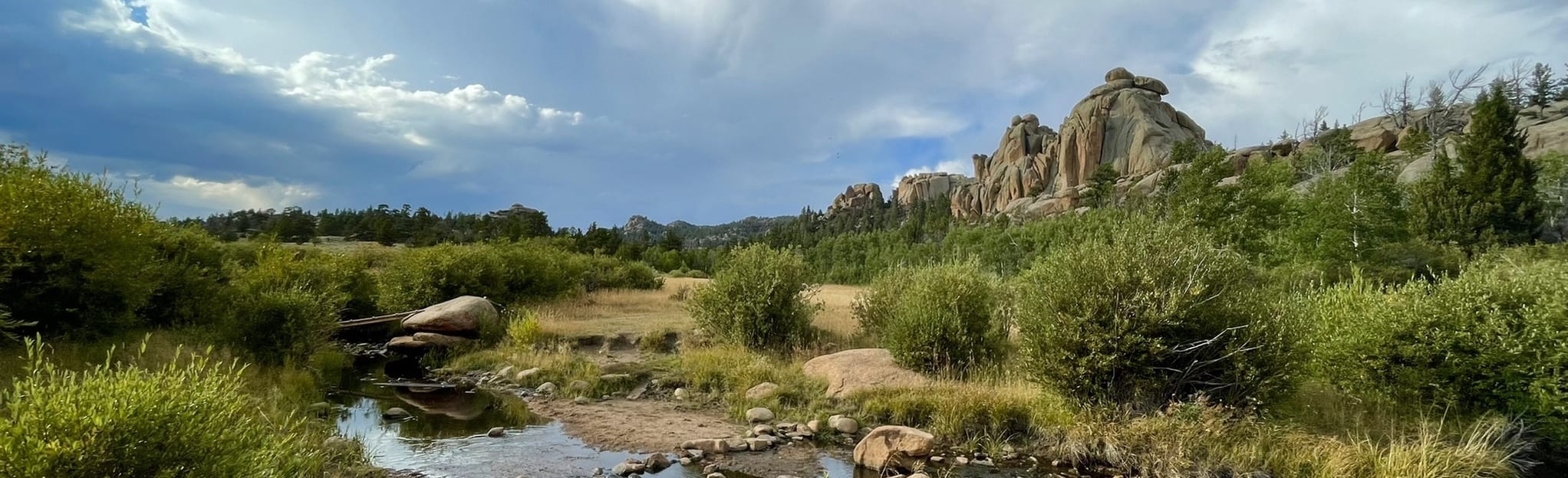 Turtle Rock, Phalic, Cow Trails Loop: 16 Reviews, Map - Wyoming | AllTrails