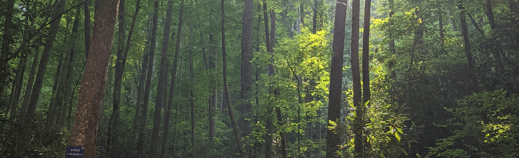 Hartsell Hollow, Noggin, Tower Ridge, and White Rock Loop | Map, Guide ...