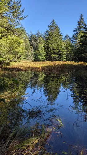 Best Hikes and Trails in Blomidon Provincial Park | AllTrails