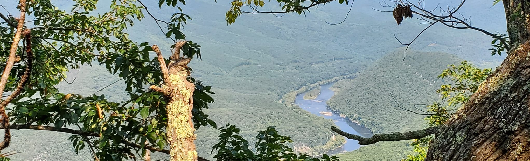 Balcony Falls Trail - Virginia | AllTrails