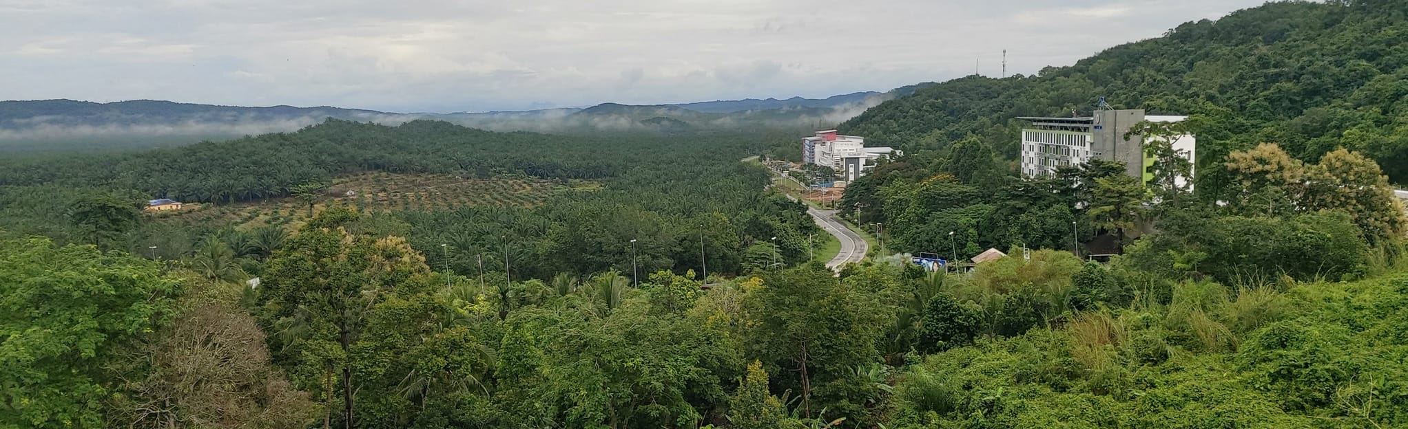 Ladang Risda Tanjung Genting Loop: 0 Reviews, Map - Kedah, Malaysia ...