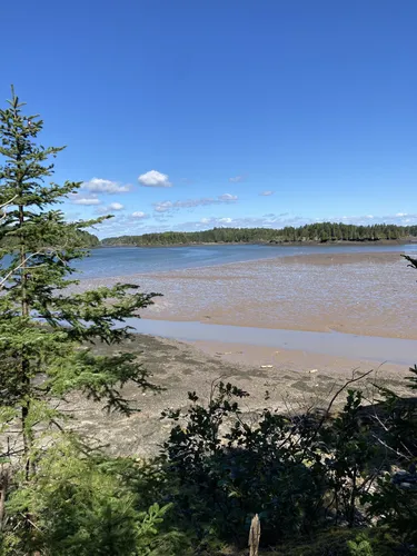 Best Hikes and Trails in Red Point Preserve | AllTrails
