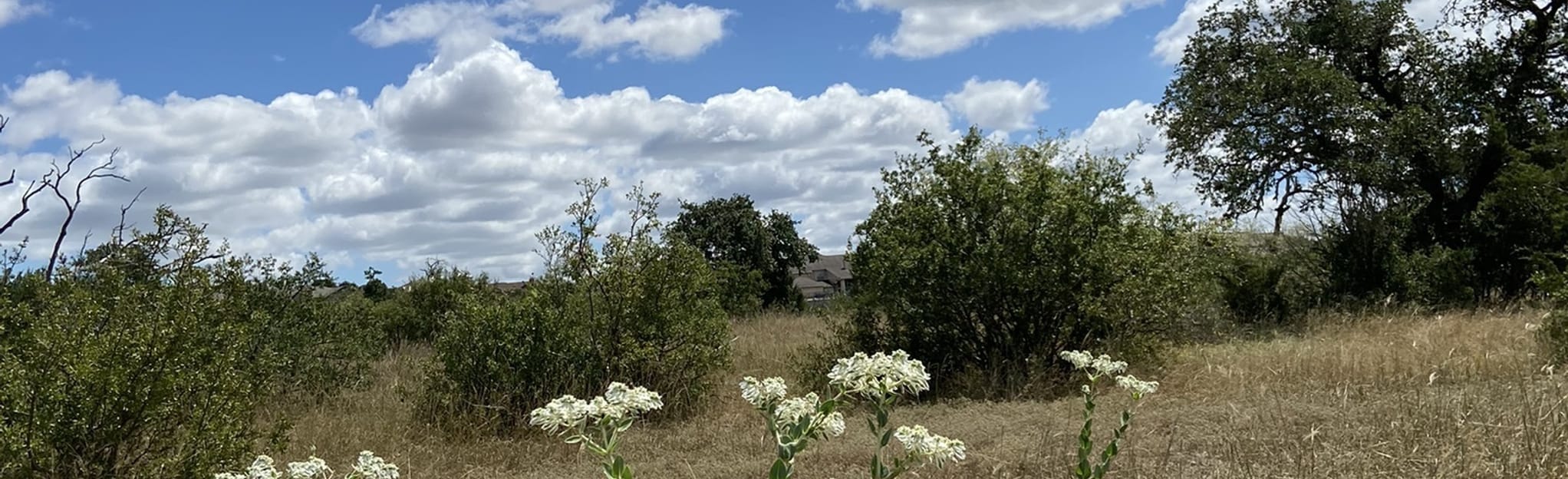 Stone Oak North Loop, Texas - 250 Reviews, Map | AllTrails