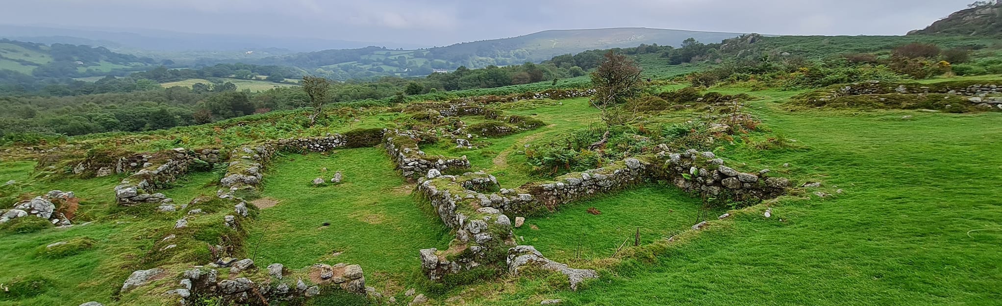 Haytor Circular, Devon, England - 211 Reviews, Map | AllTrails