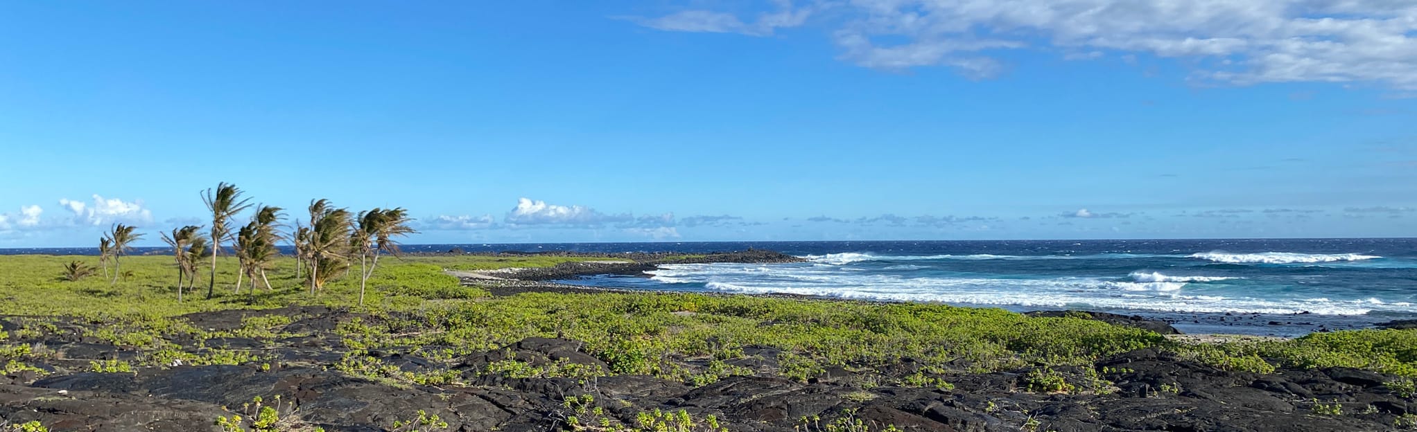 Apua Point via Puna Kau Trail, Hawaii, Hawaii - 107 Reviews, Map ...