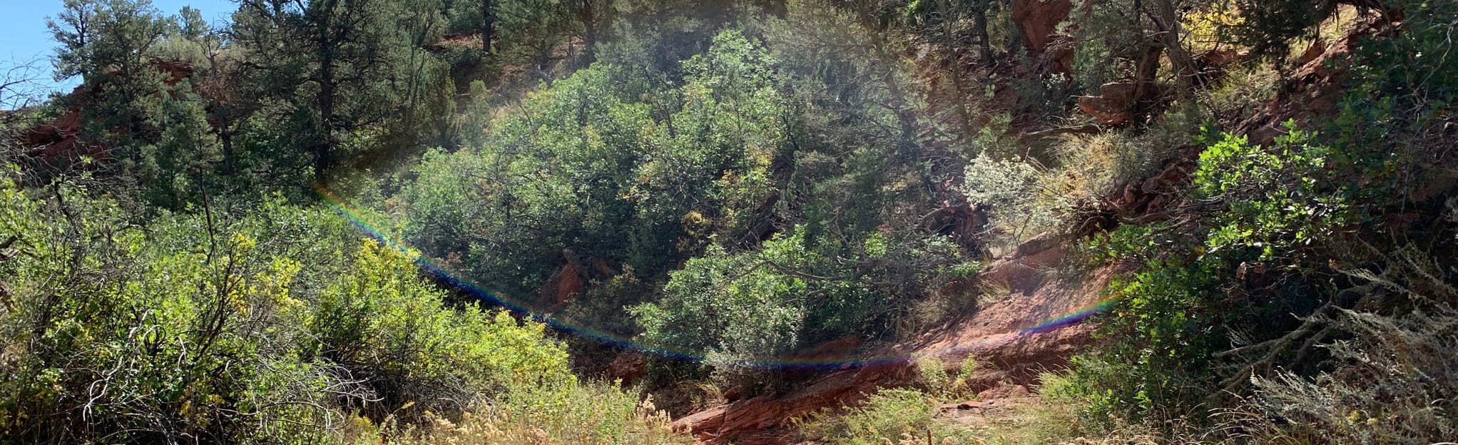 Red Canyon Park: 29 Reviews, 32 Photos, Map - Colorado | AllTrails