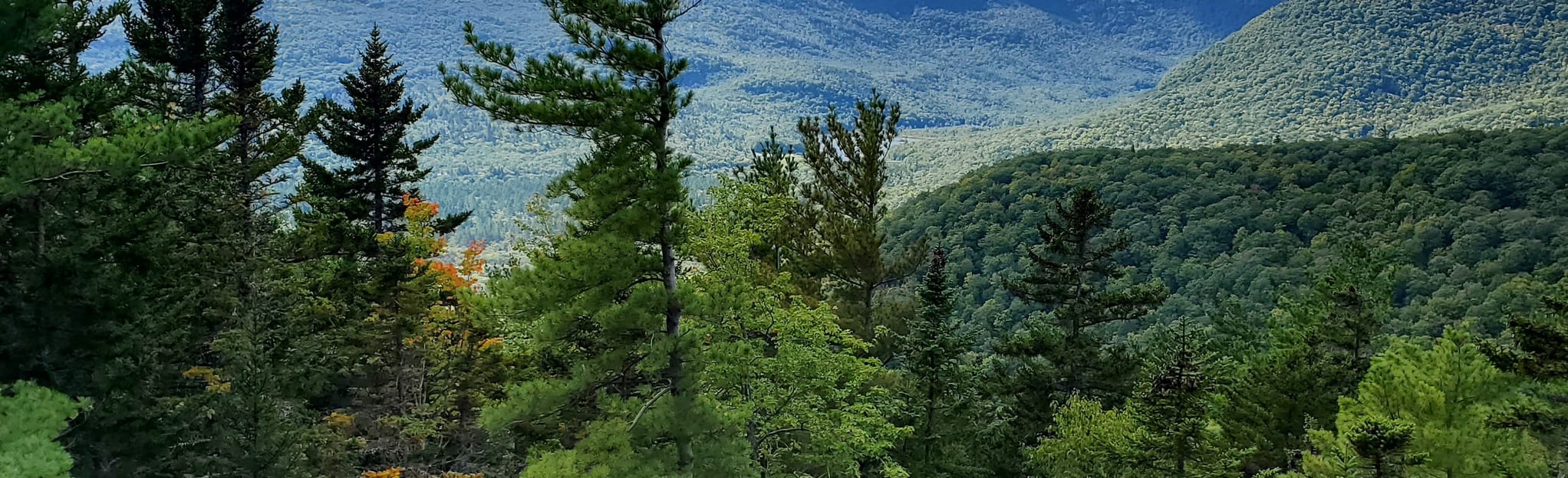 Speckled Mountain Loop | Map, Guide - Maine | AllTrails