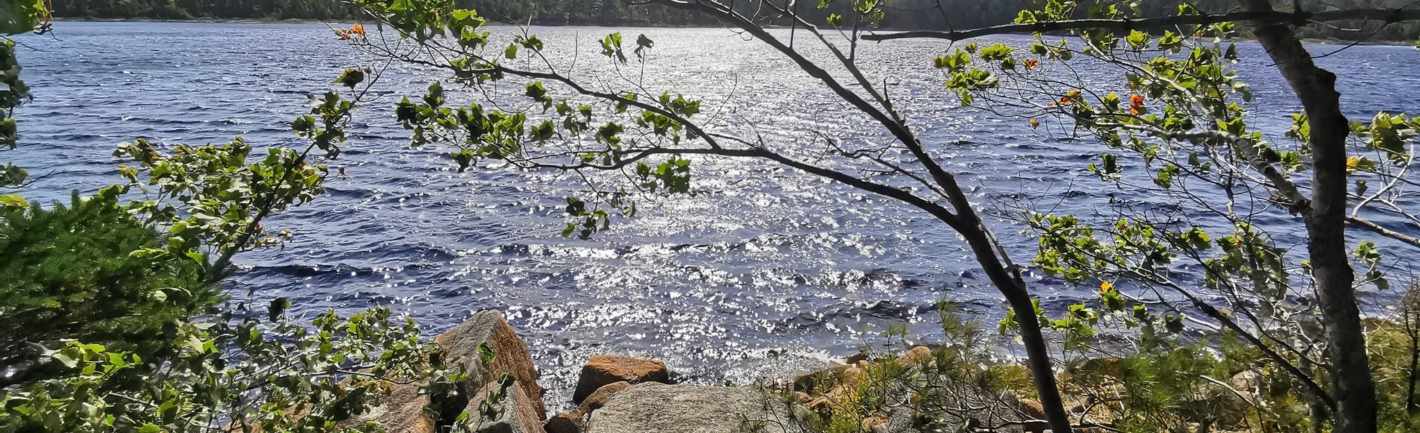 Long Lake Park Reserve Loop Trail: 318 Reviews, Map - Nova Scotia ...