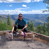 Animas Overlook Trail, Colorado - 133 Reviews, Map | AllTrails