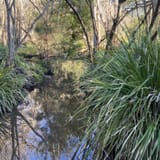 Kirrawee Bushwalk, New South Wales, Australia - 136 Reviews, Map ...