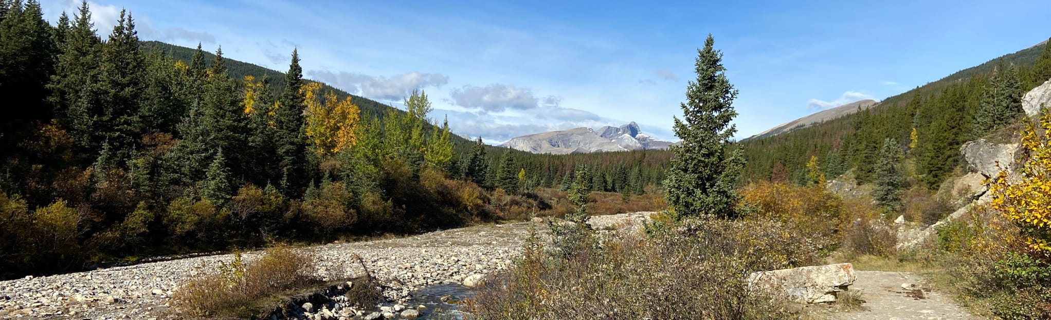 Whitehorse Creek Trail: 72 Reviews, Map - Alberta, Canada | AllTrails