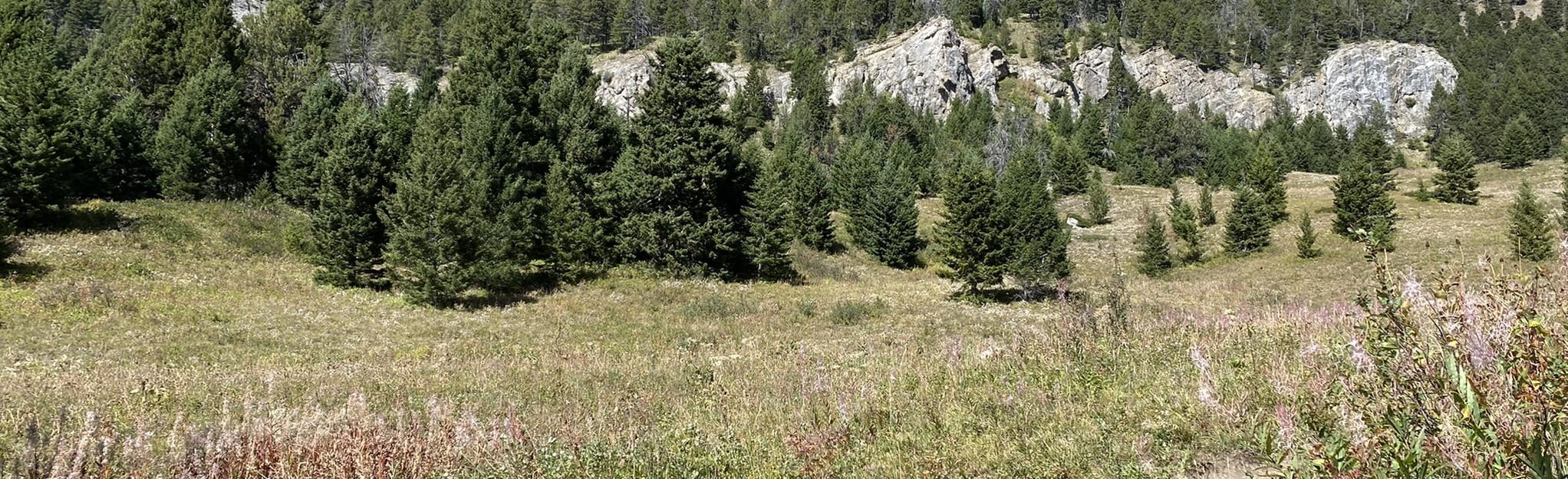 Middle Cottonwood, Saddle Peak, Bridger Peak, and Sypes Canyon: 32 ...