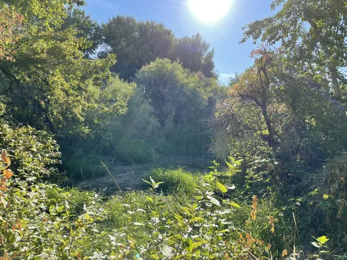 Best Hikes and Trails in Arthur C. Rempel Nature Area | AllTrails