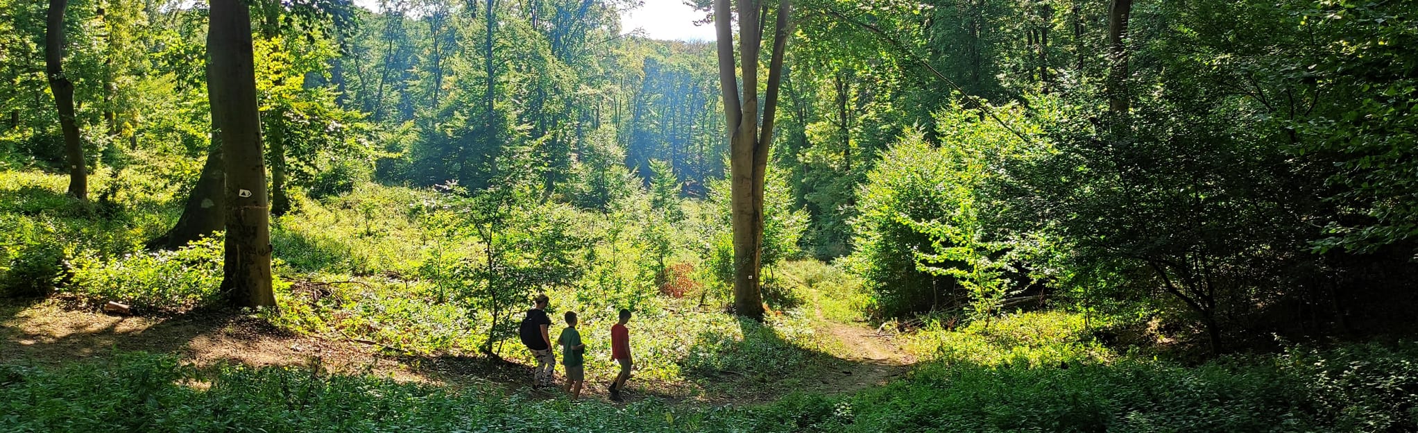 Kisújbánya - Réka Valley Loop: 2 Reviews, Map - Tolna, Hungary | AllTrails