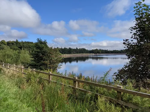 2023 Best 10 Trails, Walks, and Paths in Sheffield | AllTrails