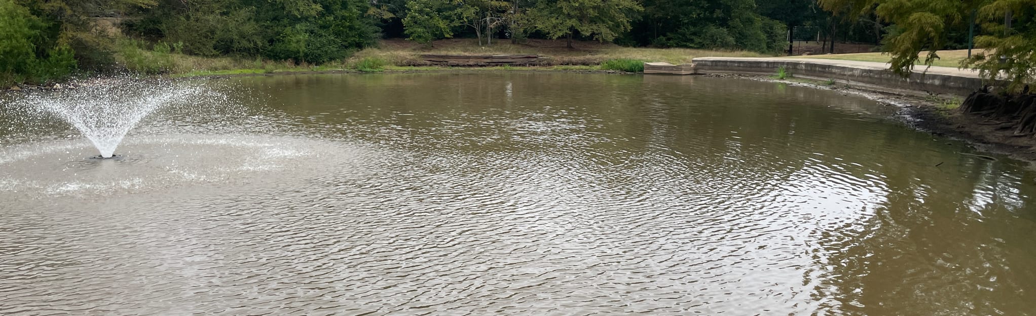 Brothers Pond Park Loop: 11 fotos - Texas | AllTrails