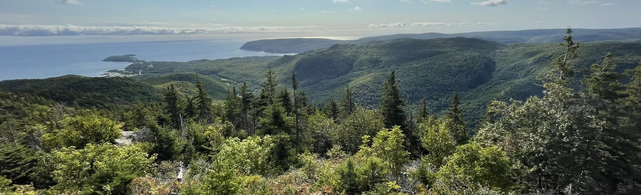 Franey Trail Lookout: 111 Reviews, Map - Nova Scotia, Canada | AllTrails