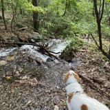 Middlesex Fells Reservation Loop Trail, Massachusetts - 522 Reviews ...