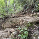 Appalachian Trail: Deep Gap to Dicks Creek, North Carolina - 88 Reviews ...