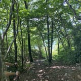 Appalachian Trail: Deep Gap to Dicks Creek, North Carolina - 88 Reviews ...