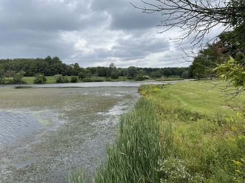 Best Hikes and Trails in Mammoth Park | AllTrails