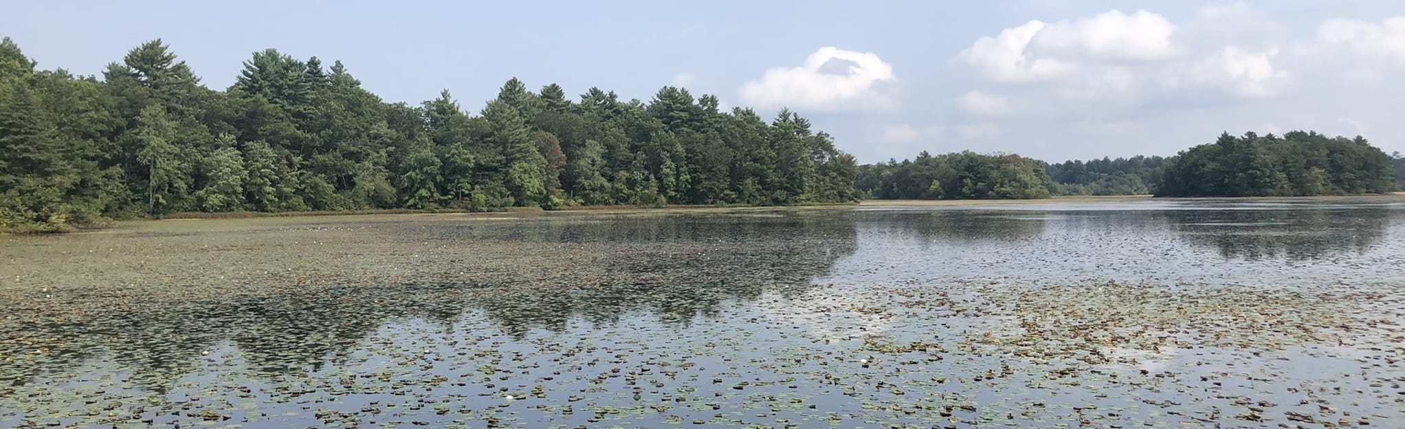 Bay Circuit Trail to Granite Hills Trail Loop: 441 Reviews, Map ...