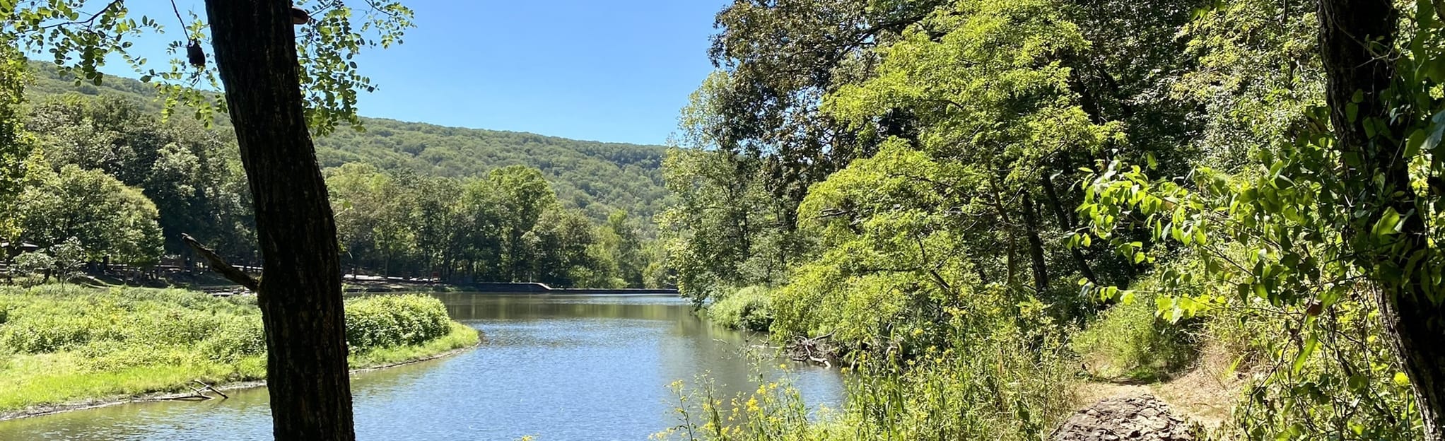 Butterfield Hiking Trail, Arkansas - 894 Reviews, Map | AllTrails