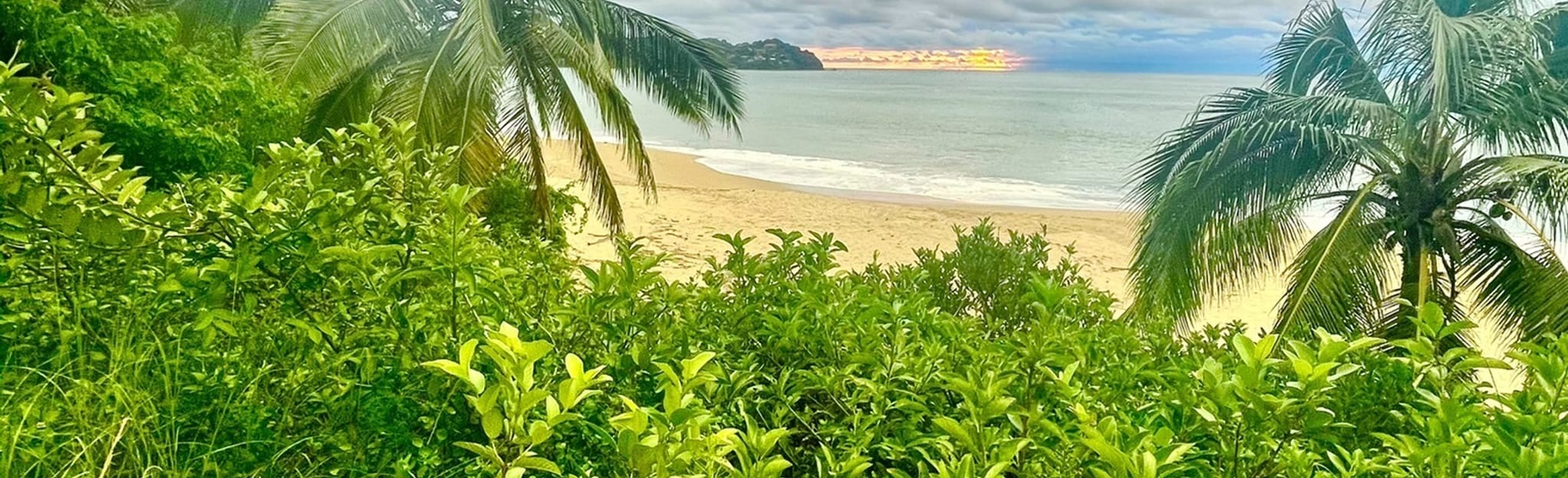 Sayulita - Playa Malpaso: 191 fotos - Nayarit, México | AllTrails