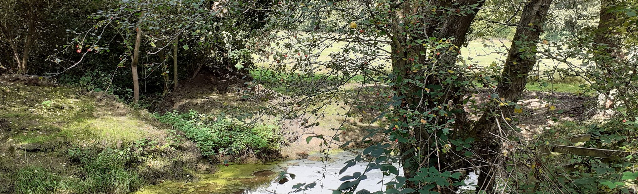 Moat Mount Open Space and Totteridge Fields Nature Reserve: 6 foto ...