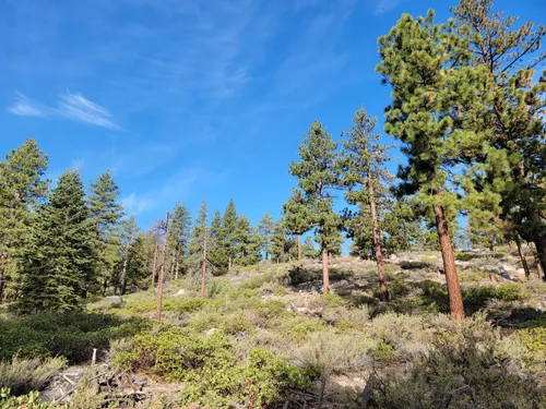 10 Best Hikes and Trails in Galena Creek Regional Park | AllTrails