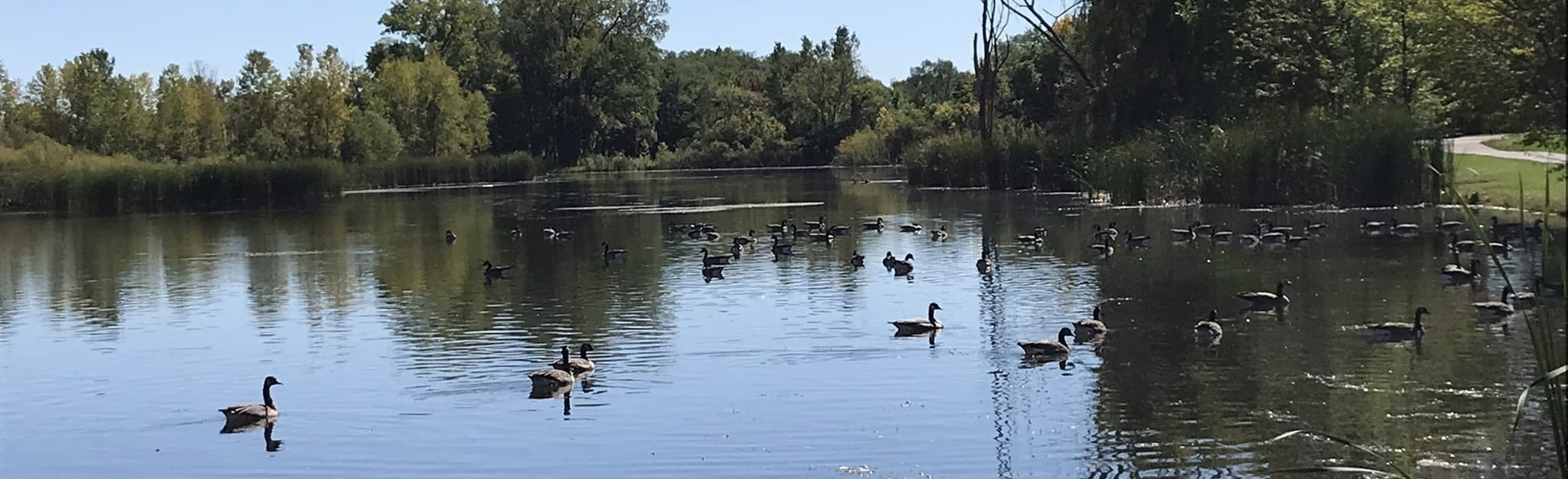 Hamlet Park Loop: 65 Reviews, Map - Minnesota | AllTrails