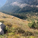 North Inlet and Tonahutu Creek Loop, Colorado - 162 Reviews, Map ...