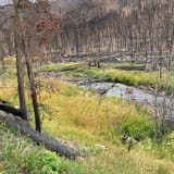 North Inlet and Tonahutu Creek Loop, Colorado - 162 Reviews, Map ...