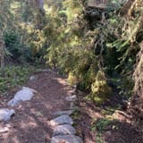 North Inlet and Tonahutu Creek Loop, Colorado - 162 Reviews, Map ...