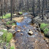 North Inlet and Tonahutu Creek Loop, Colorado - 162 Reviews, Map ...