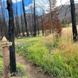 North Inlet and Tonahutu Creek Loop, Colorado - 162 Reviews, Map ...