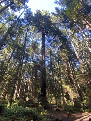 10 Best Trails and Hikes in Sechelt | AllTrails